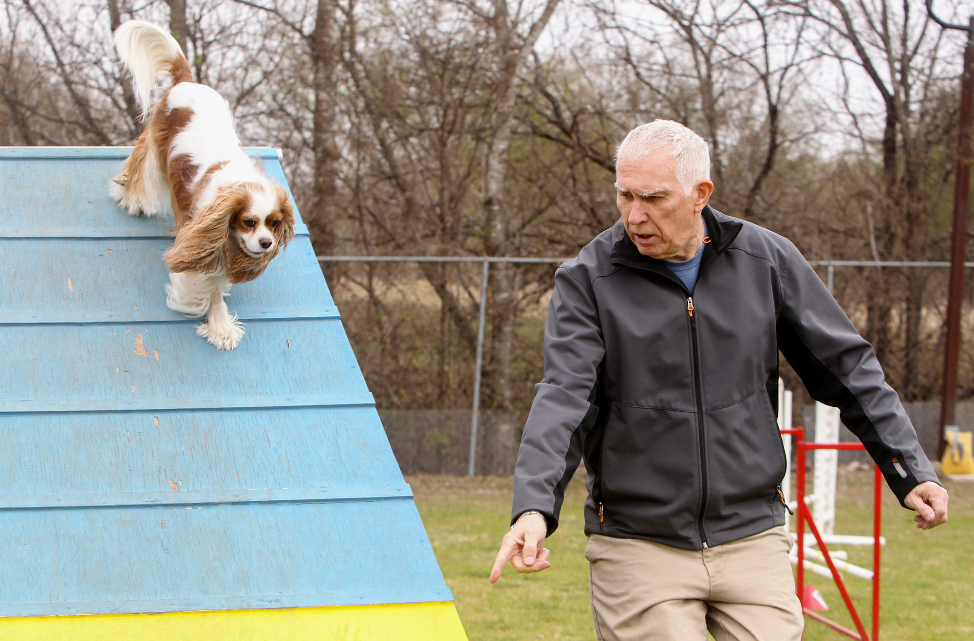 S.A.-trained dog heads to Westminster show