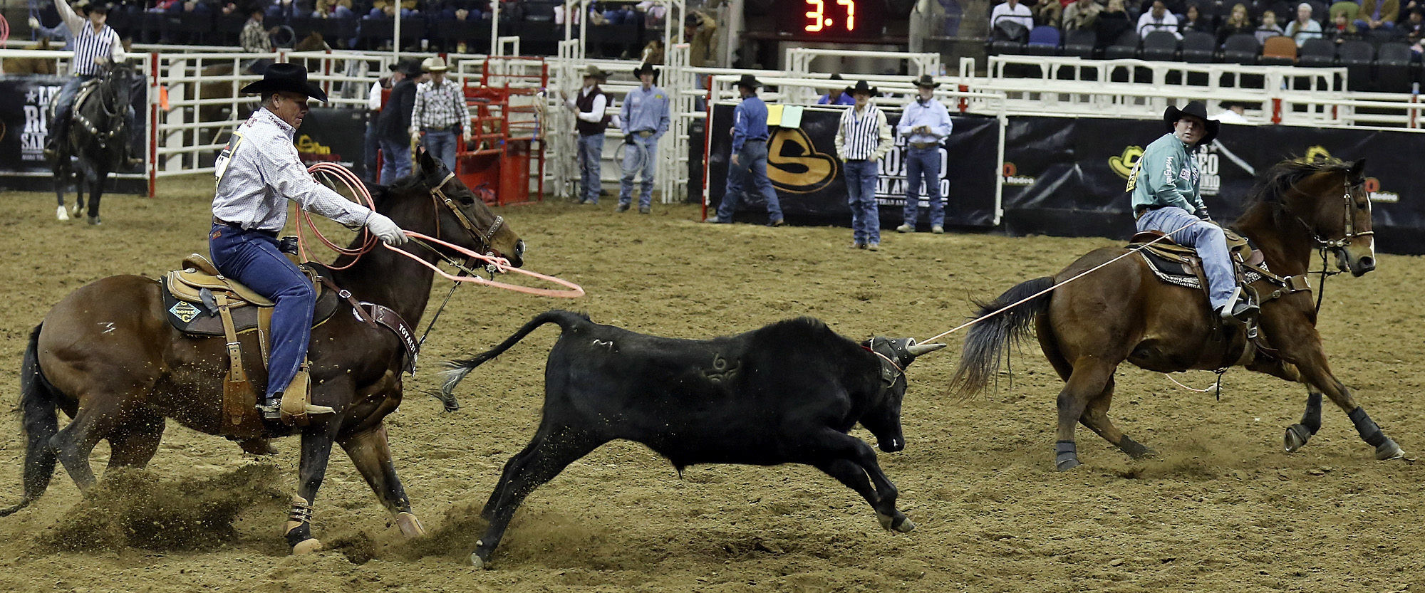 Once in John Wayne films, roper living 'fairy tale' life