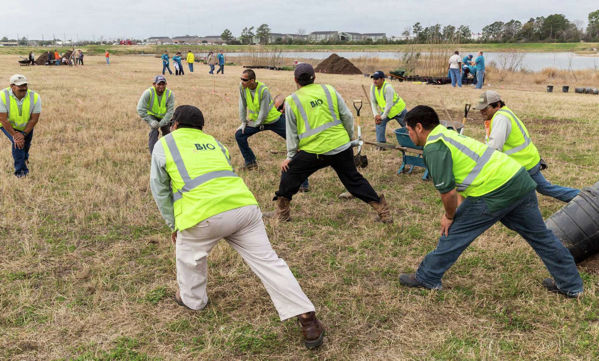 Going for the green: Volunteer teams race to plant trees