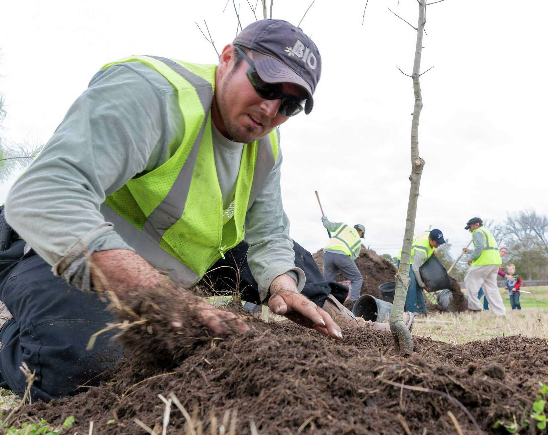 Going for the green: Volunteer teams race to plant trees