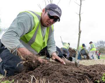 Going for the green: Volunteer teams race to plant trees