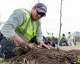 Going for the green: Volunteer teams race to plant trees