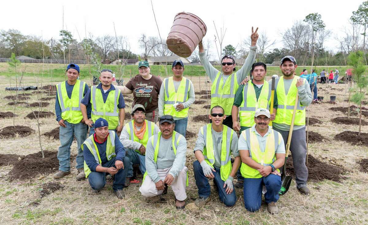 Going for the green: Volunteer teams race to plant trees