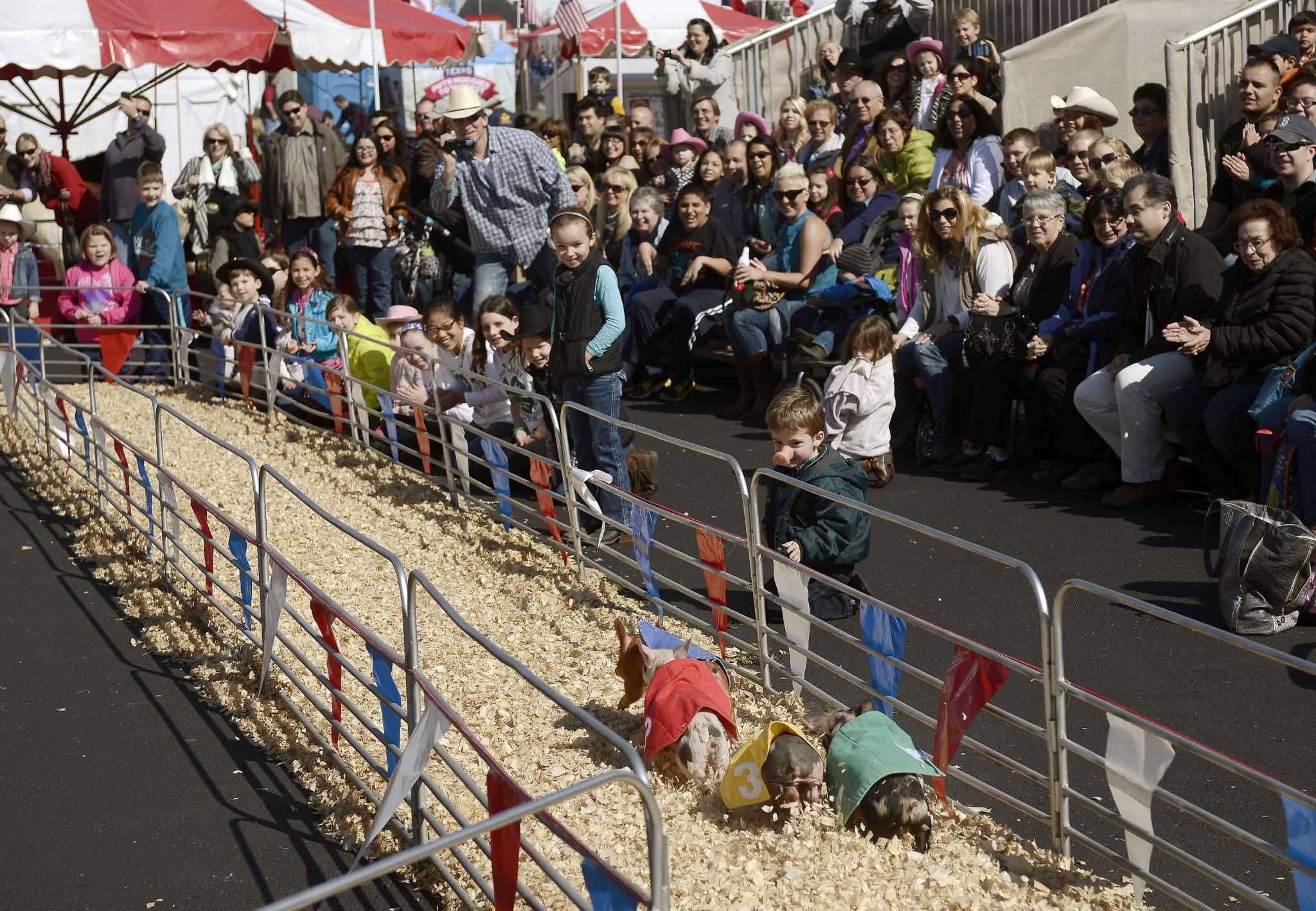 Pig Races Annual Favorite