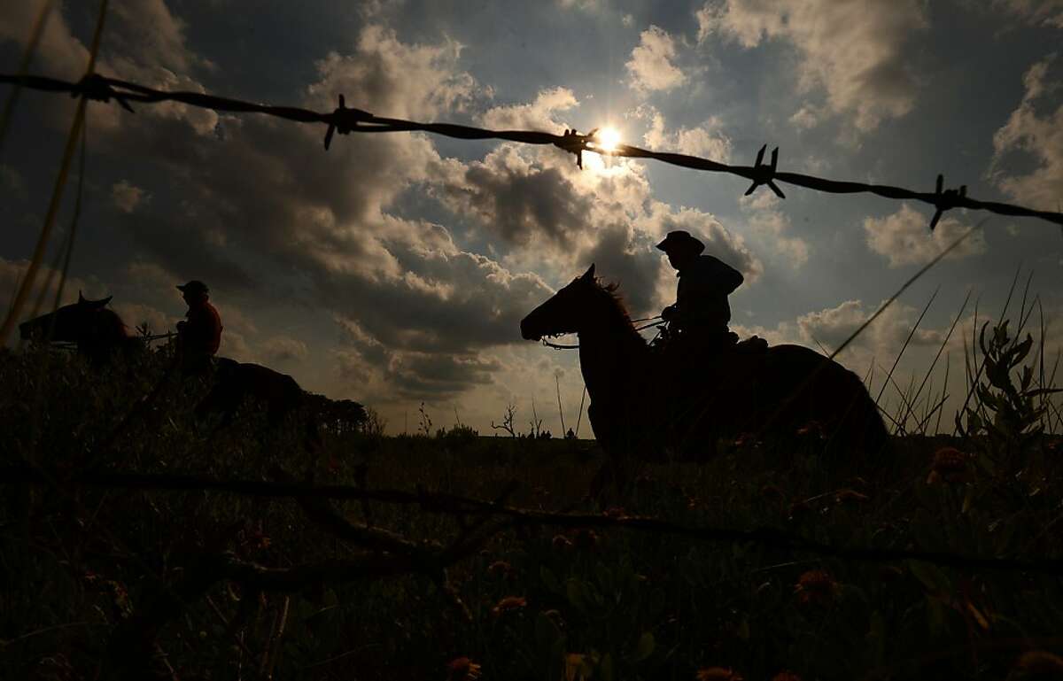 Top 10 signs you might be a cowboy