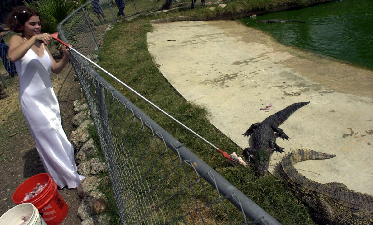 16 thrilling facts about New Braunfels' Animal World and Snake Farm Zoo