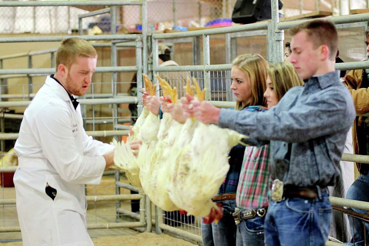 FFA makes learning fun for Clear Creek ISD students