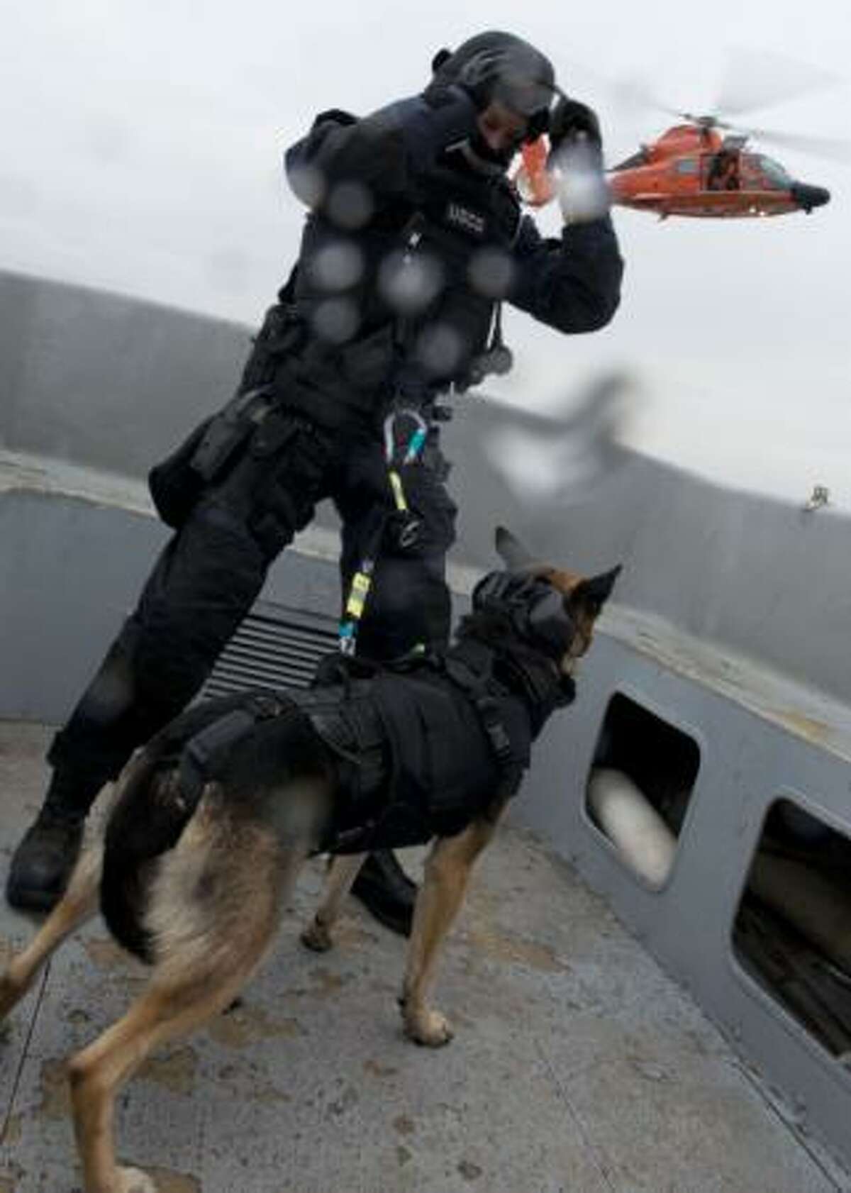 Bomb-sniffing dogs dropped from helicopters off Galveston coast