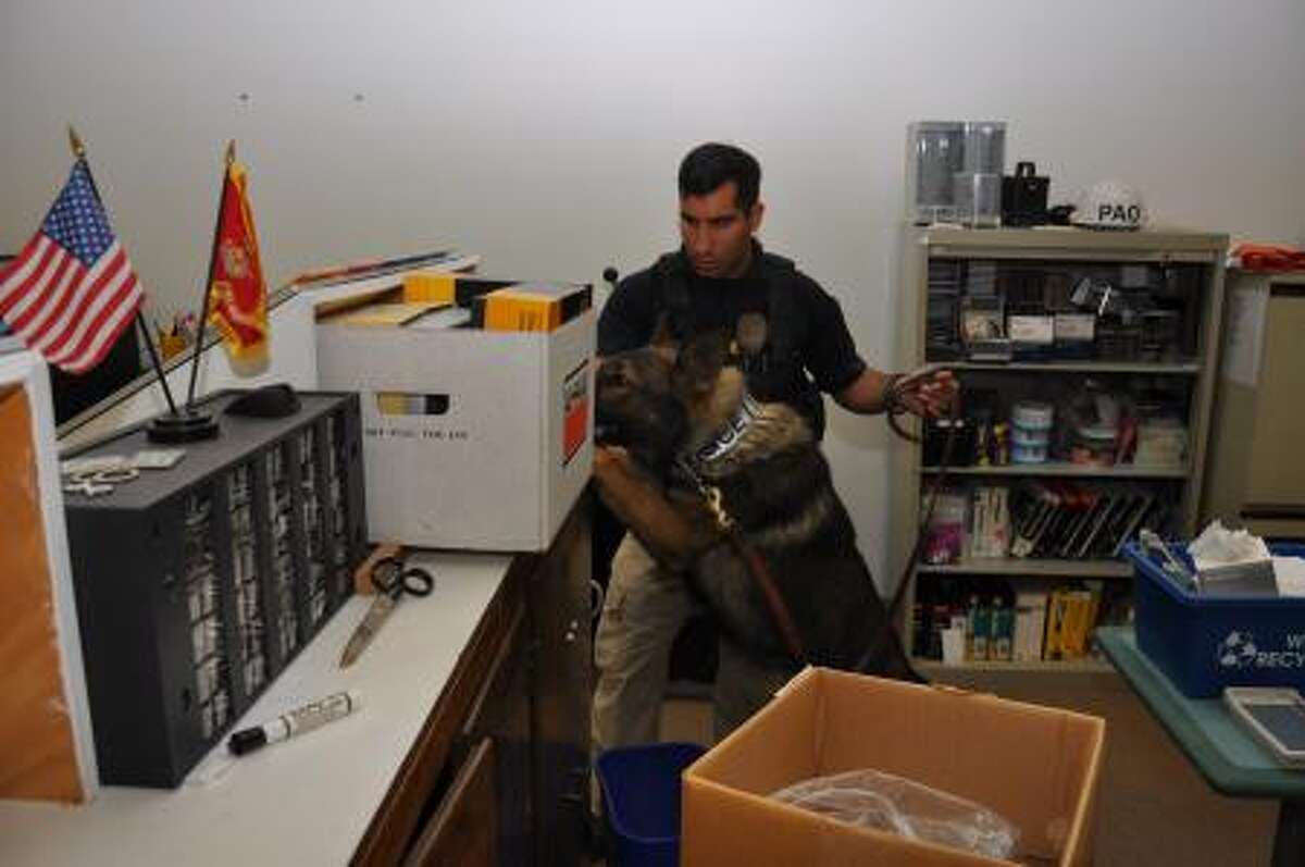 Bomb-sniffing dogs dropped from helicopters off Galveston coast