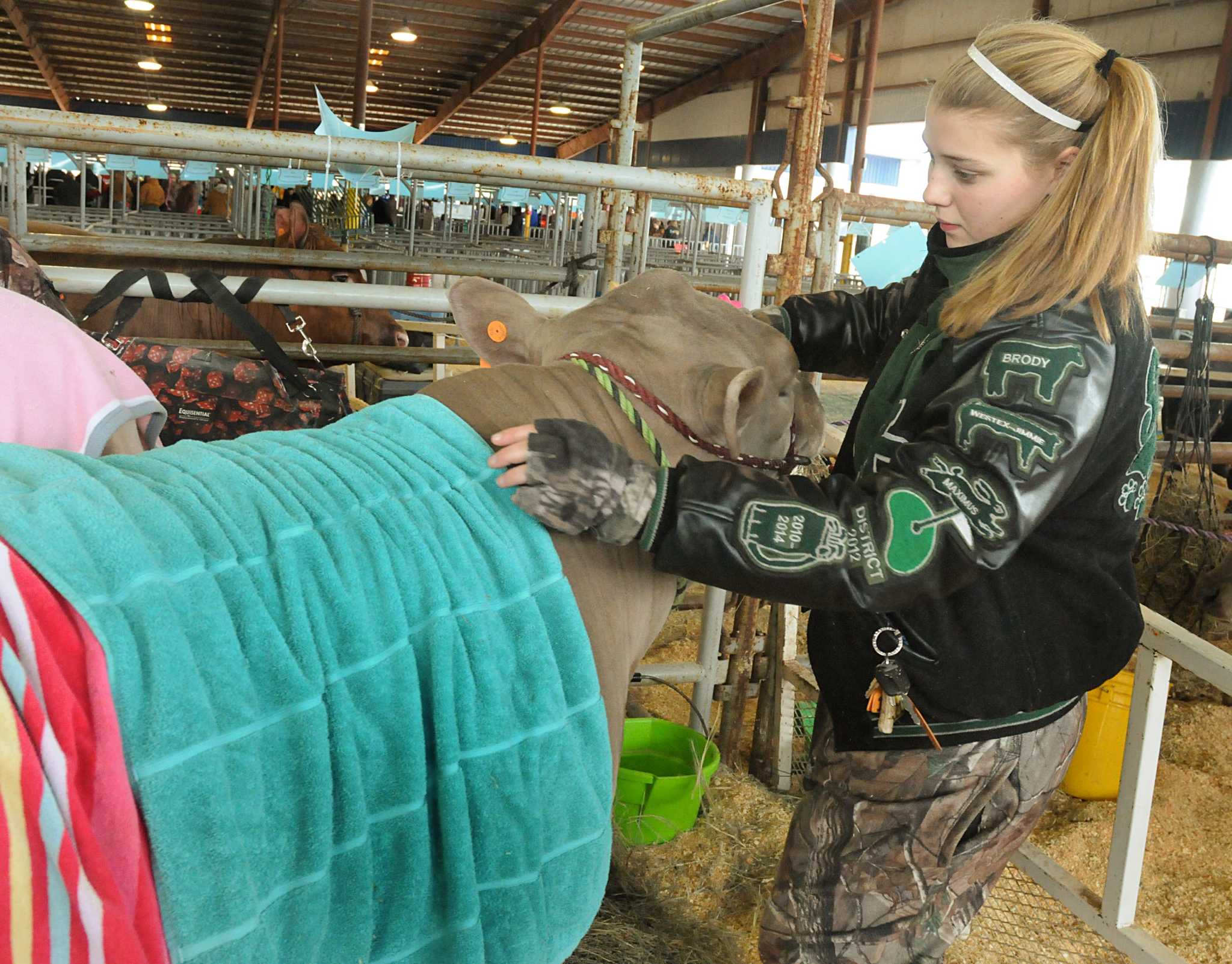 HISD students find raising animals involves a lot of training and hard work