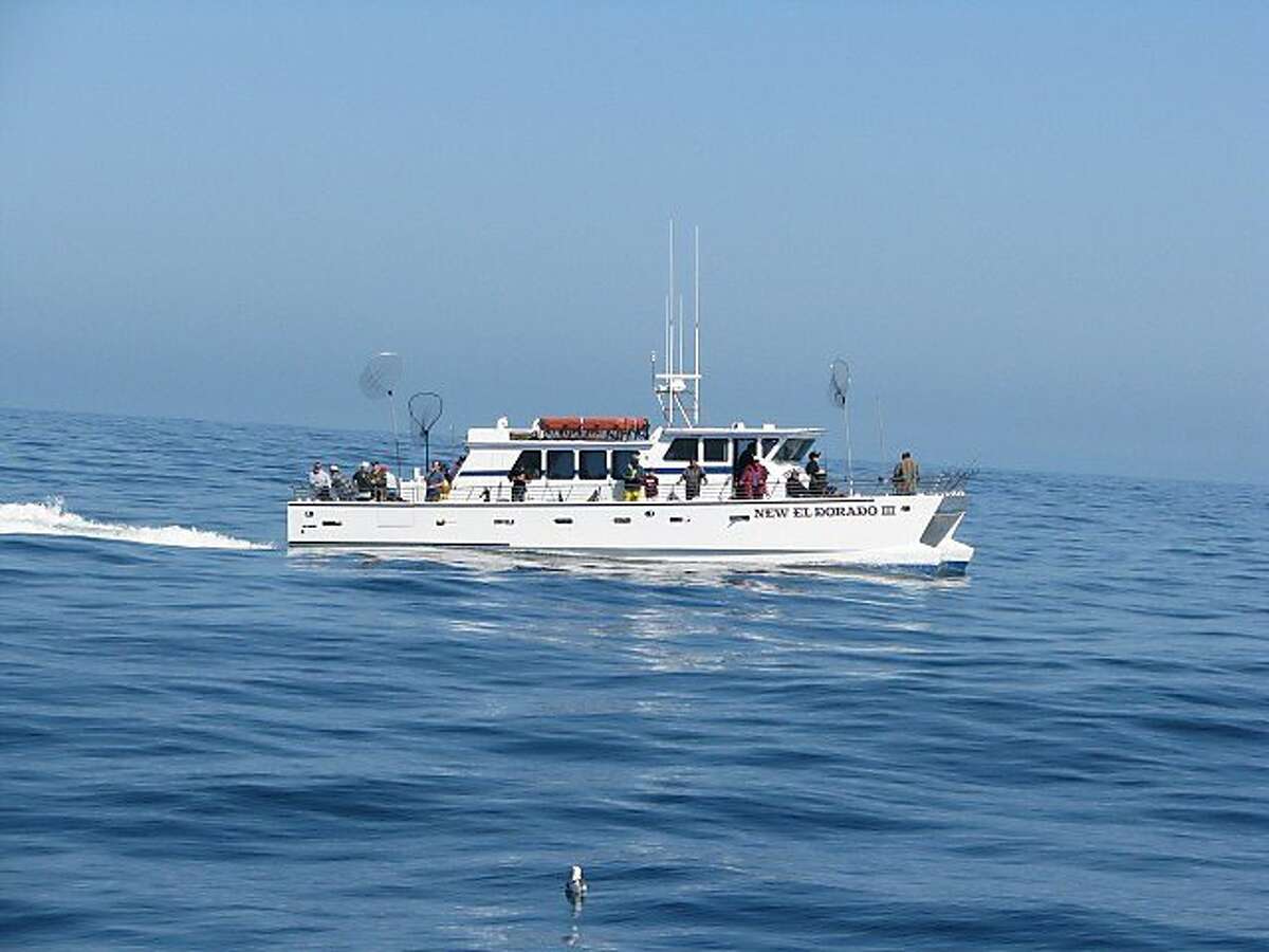 Facebook ferry service the next tech shuttle project