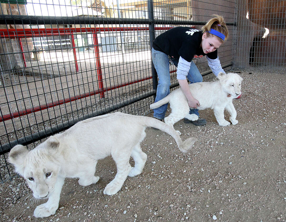 16 thrilling facts about New Braunfels' Animal World and Snake Farm Zoo