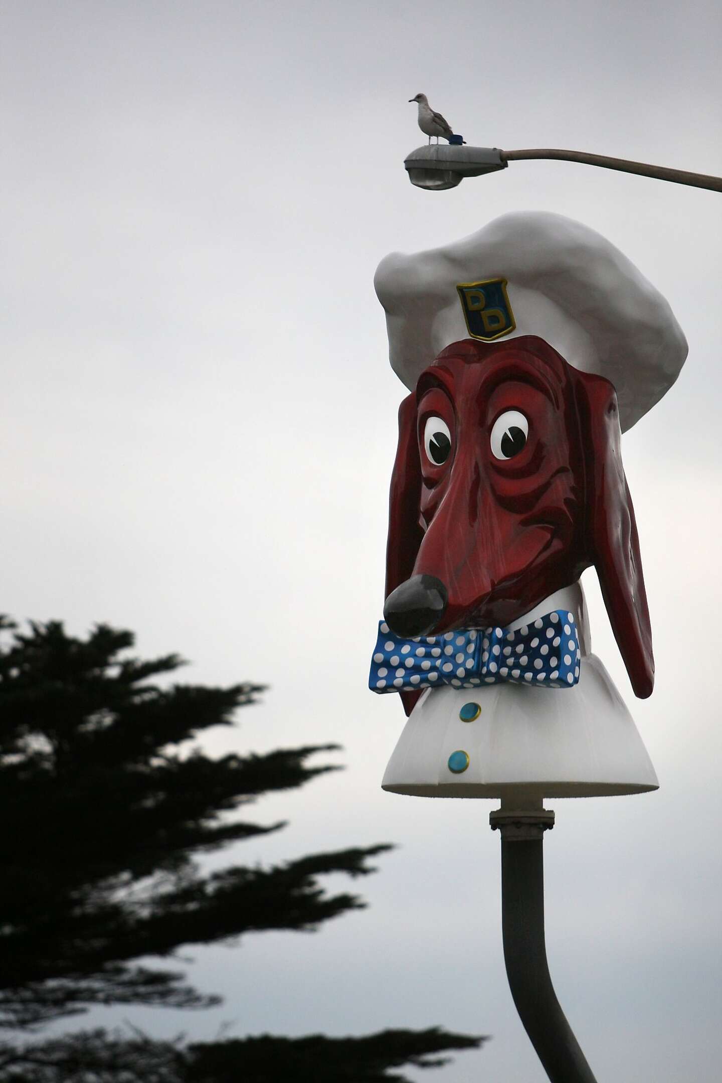 Doggie Diner head has more lives than a cat