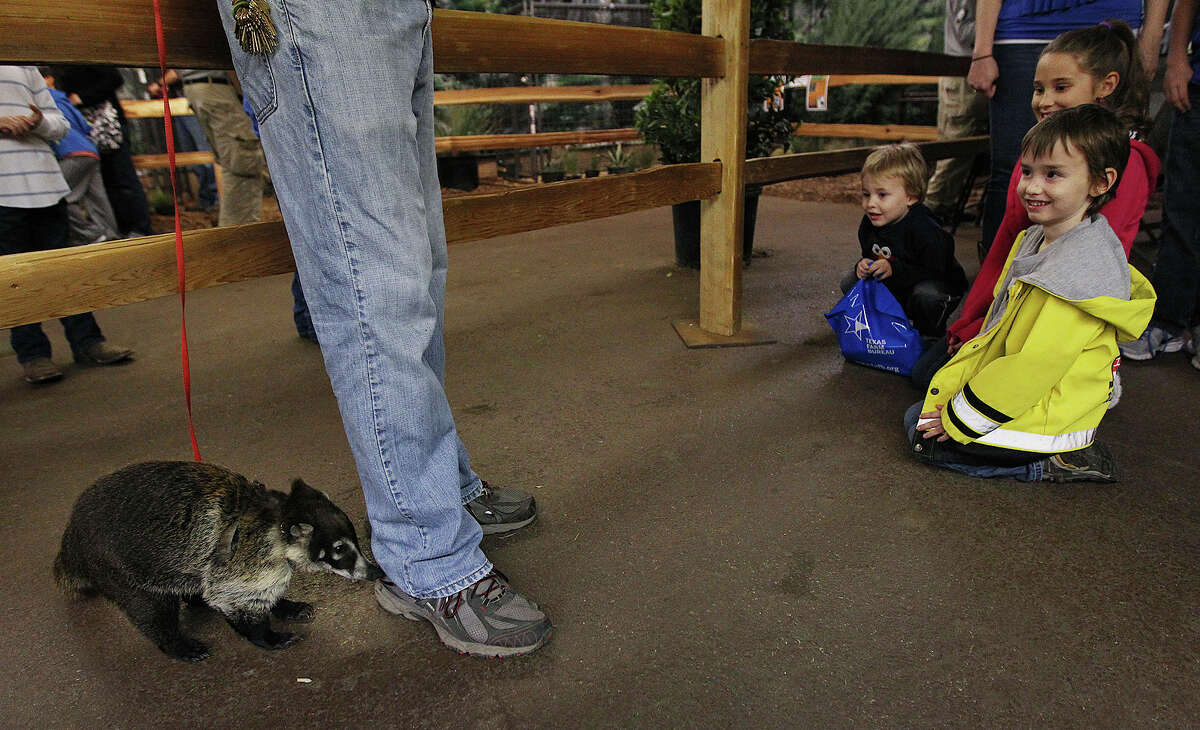 San Antonio Stock Show & Rodeo awarded Rodeo of the Year for the 10th time