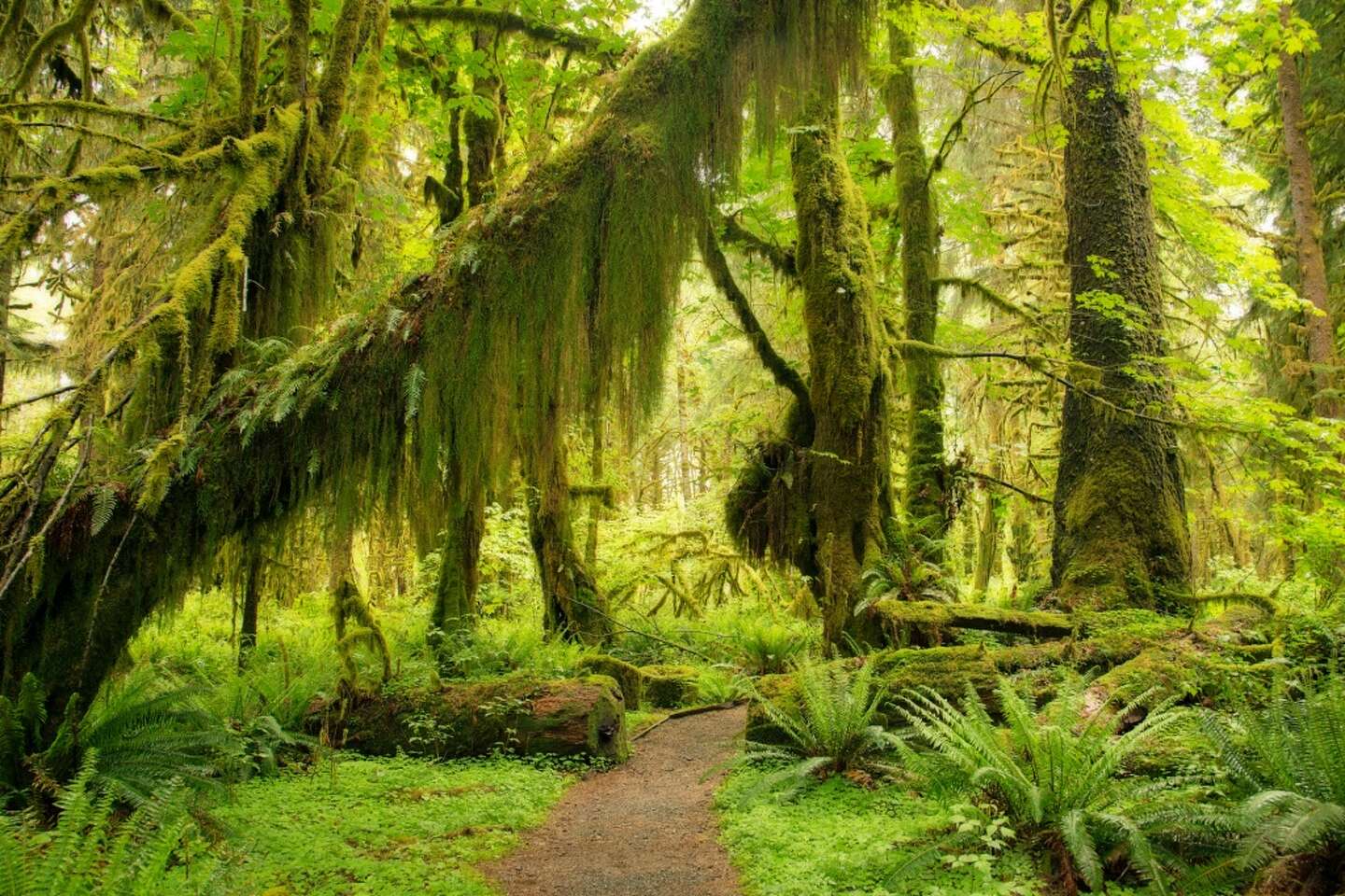 25 places in Washington to see and experience before you die