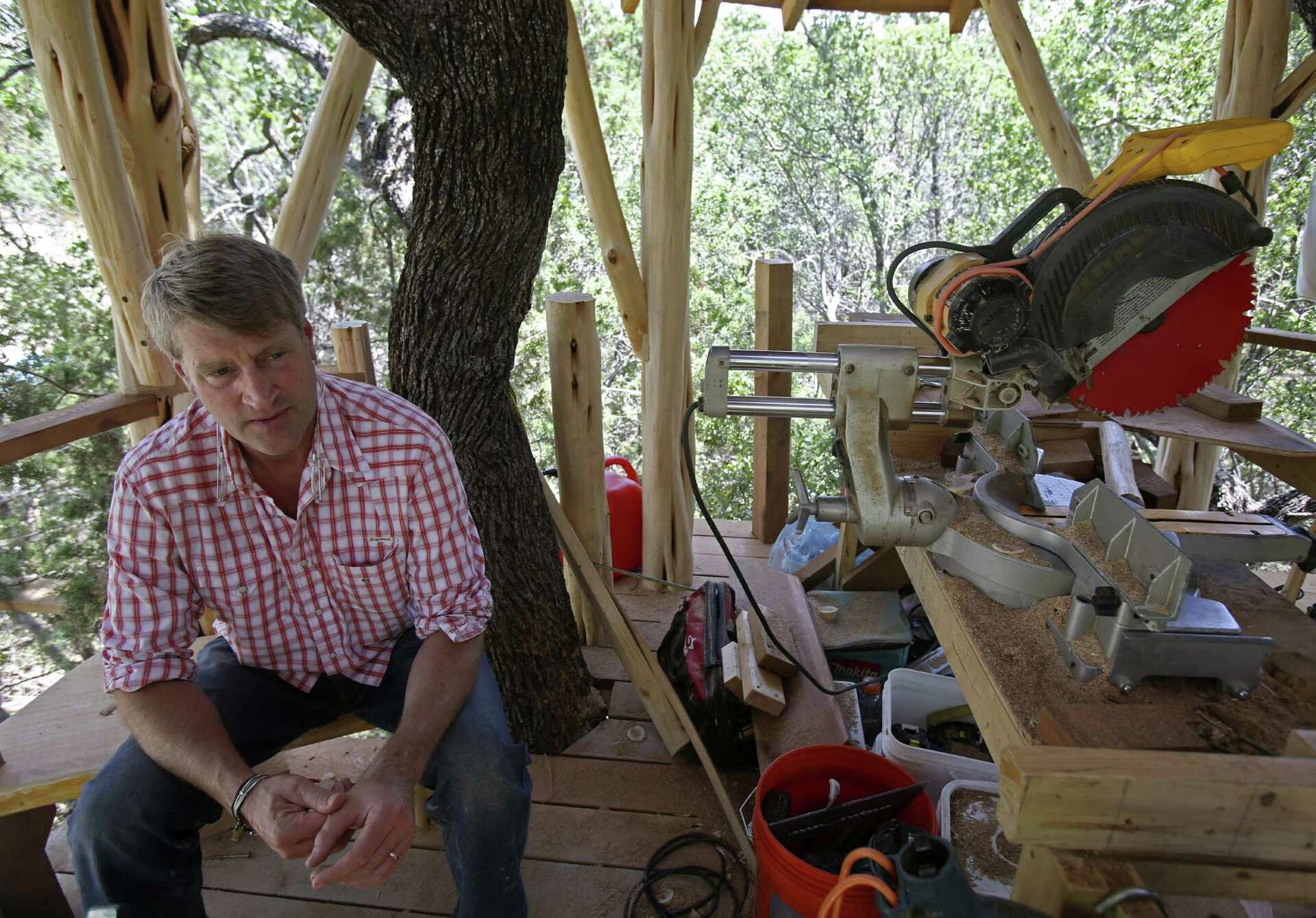 Treehouse designs reach new heights