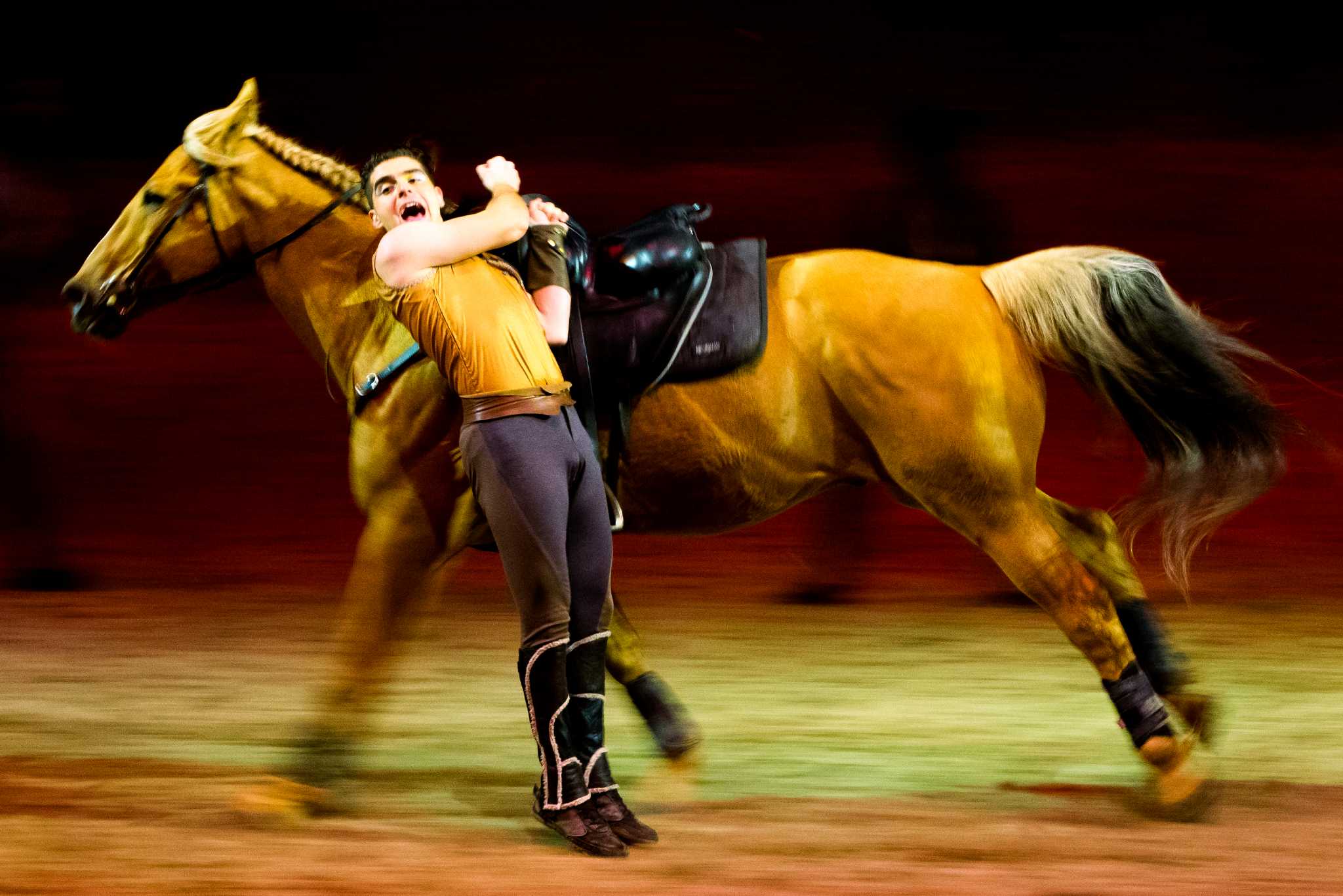 Cavalia's Odysseo: A visual feast of horses and dance
