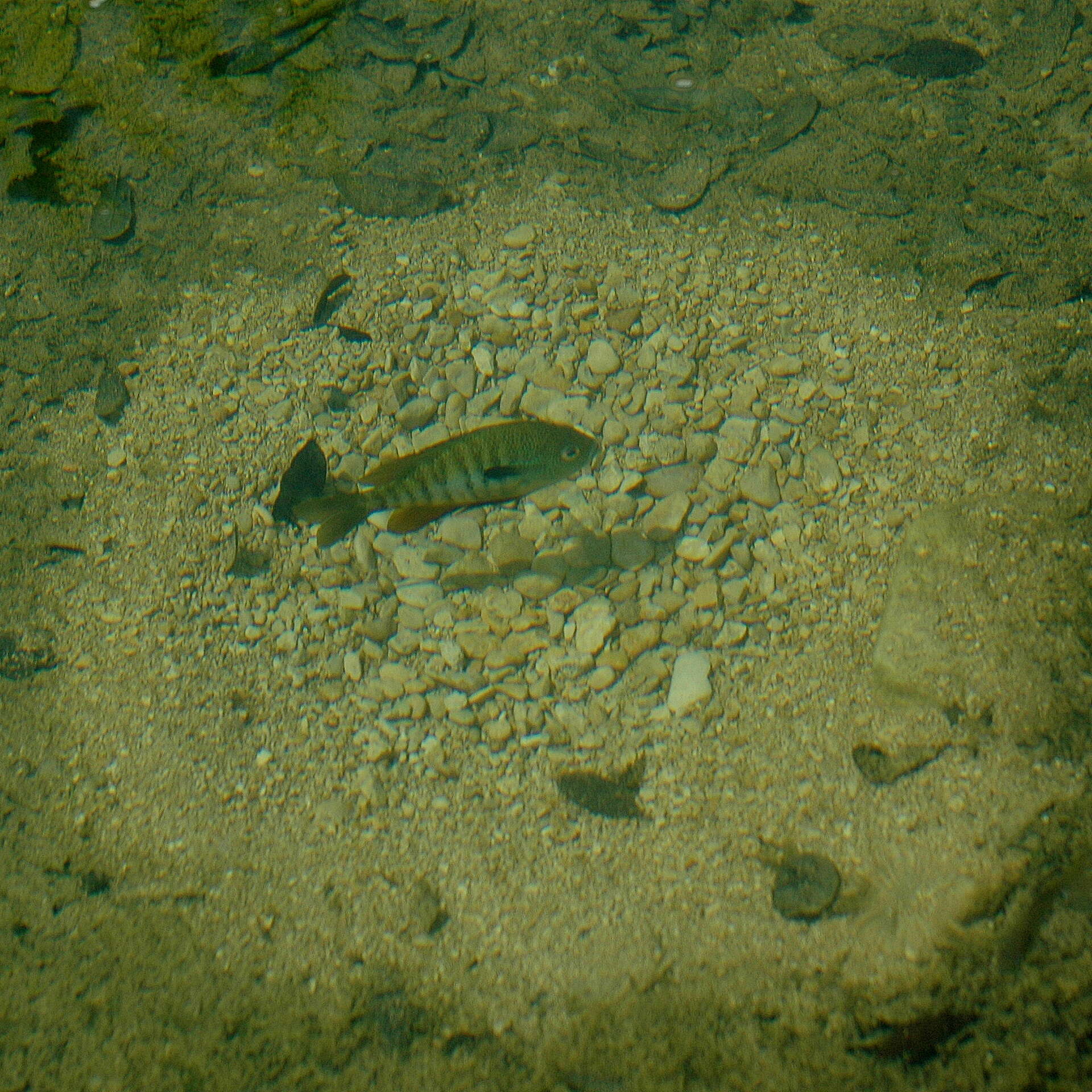 Anglers gear up for spawning season