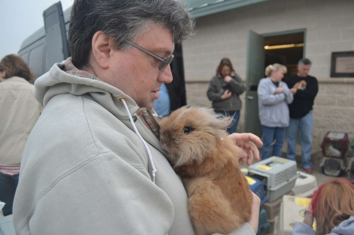 Rabbits abused in Indiana shipped to Houston to find homes