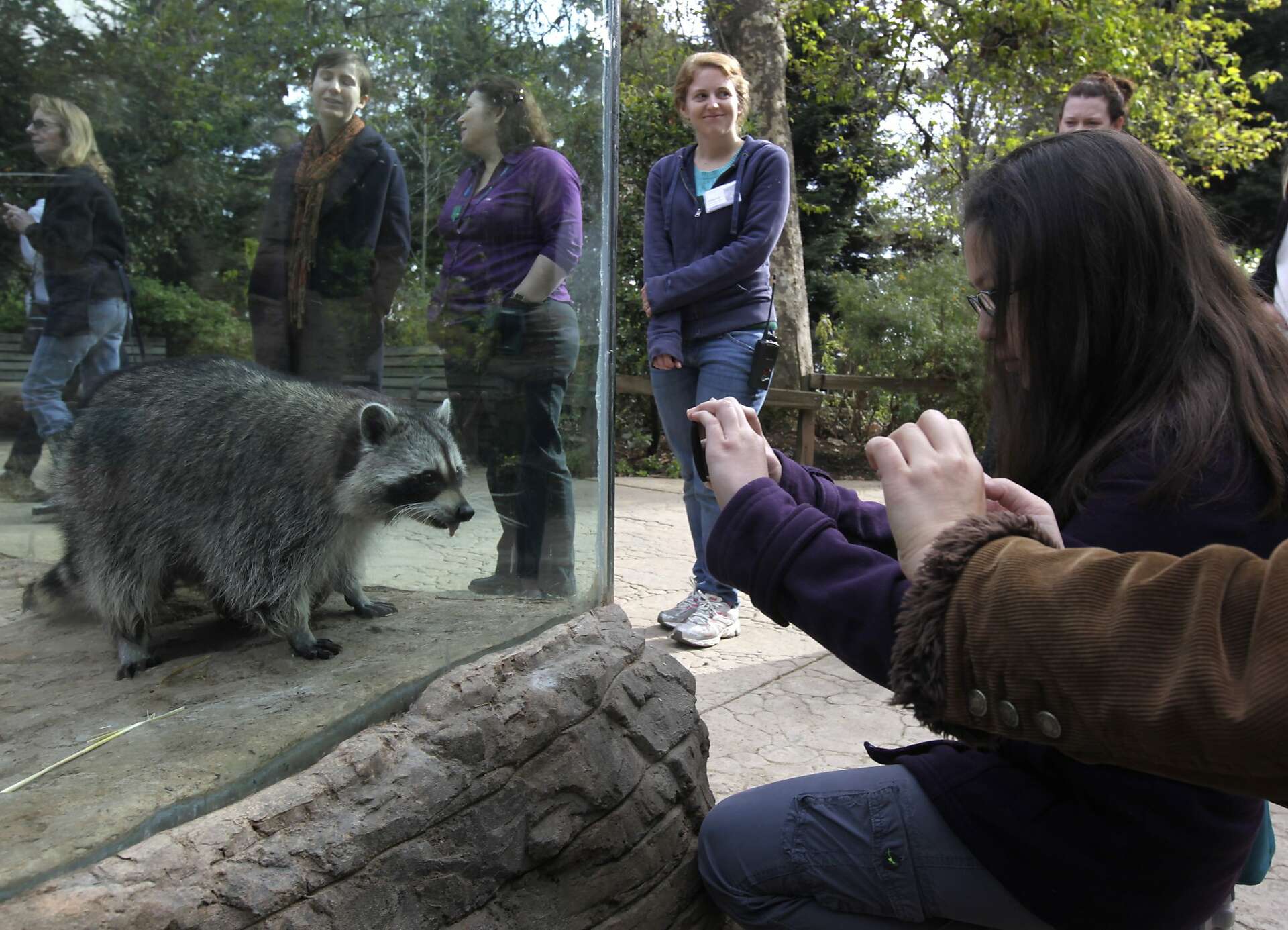 New roomies for oldest raccoon in captivity