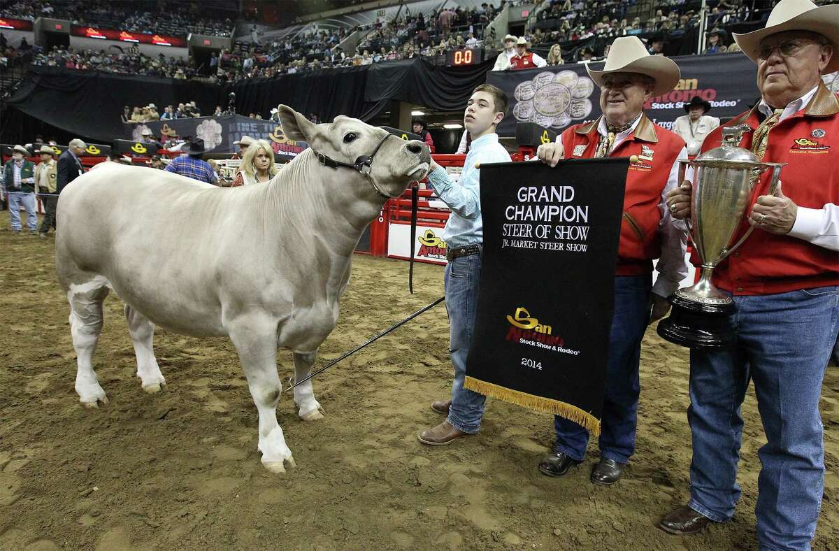Grand champion steer sells for record six-figures