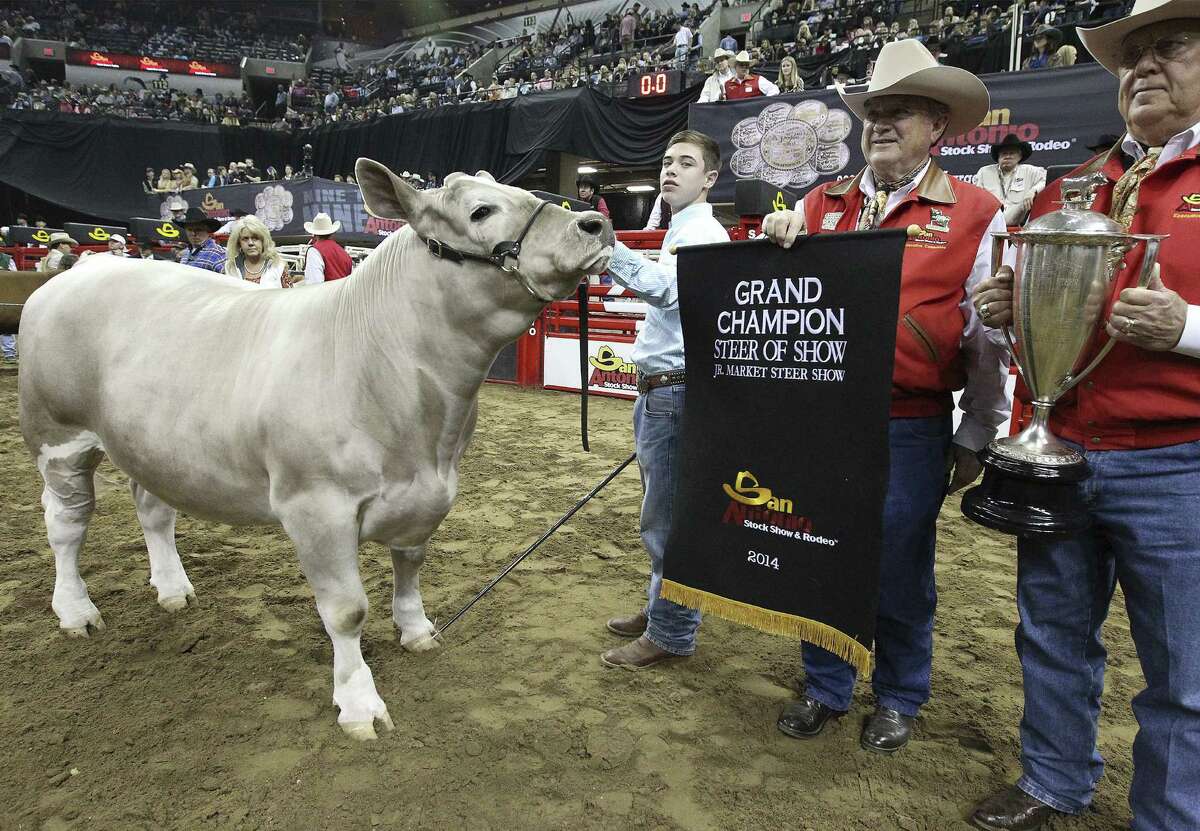 Grand champion steer sells for record six-figures