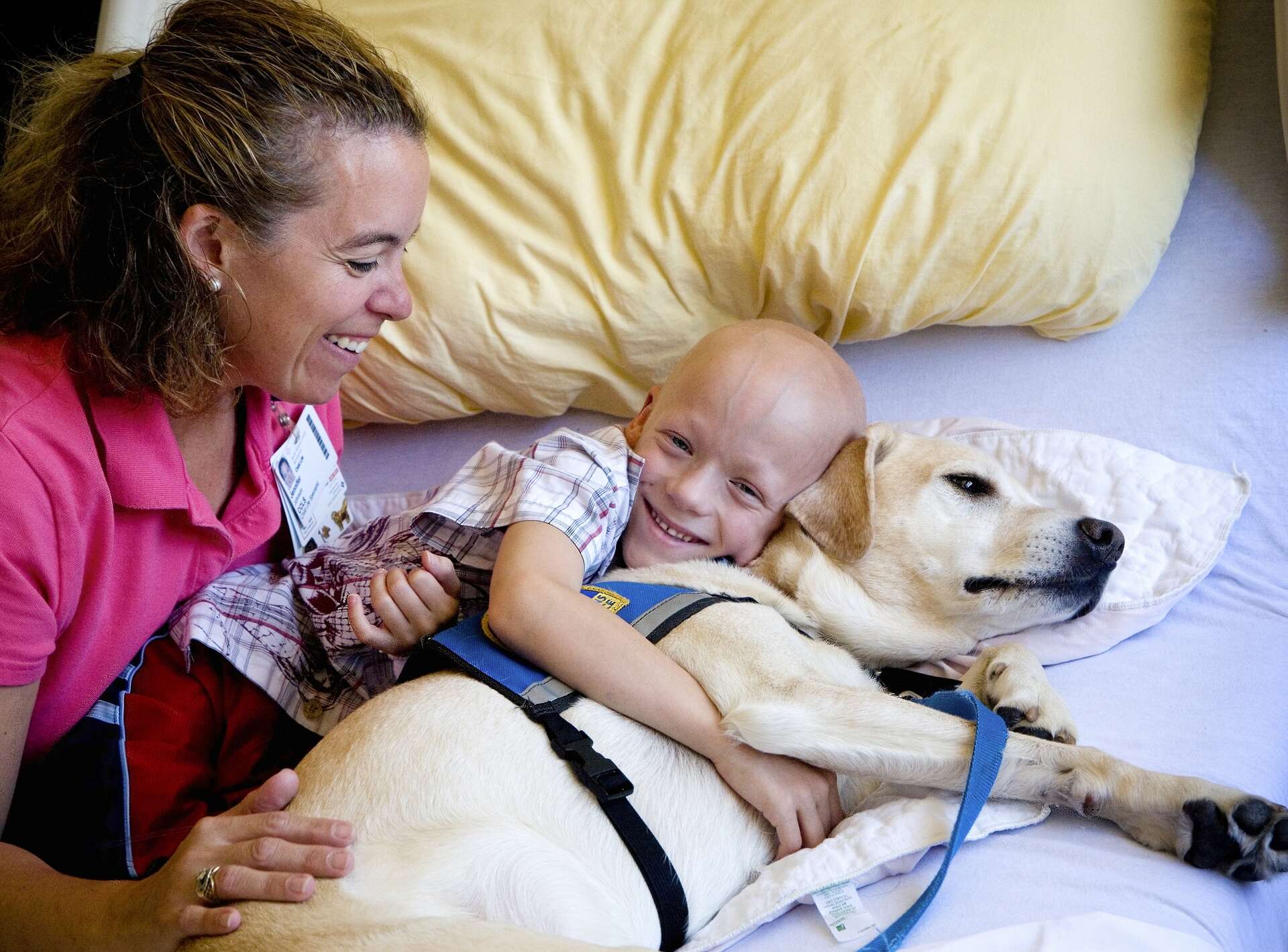 'Humiliating' Houston incidents highlight problem of easily faked ...