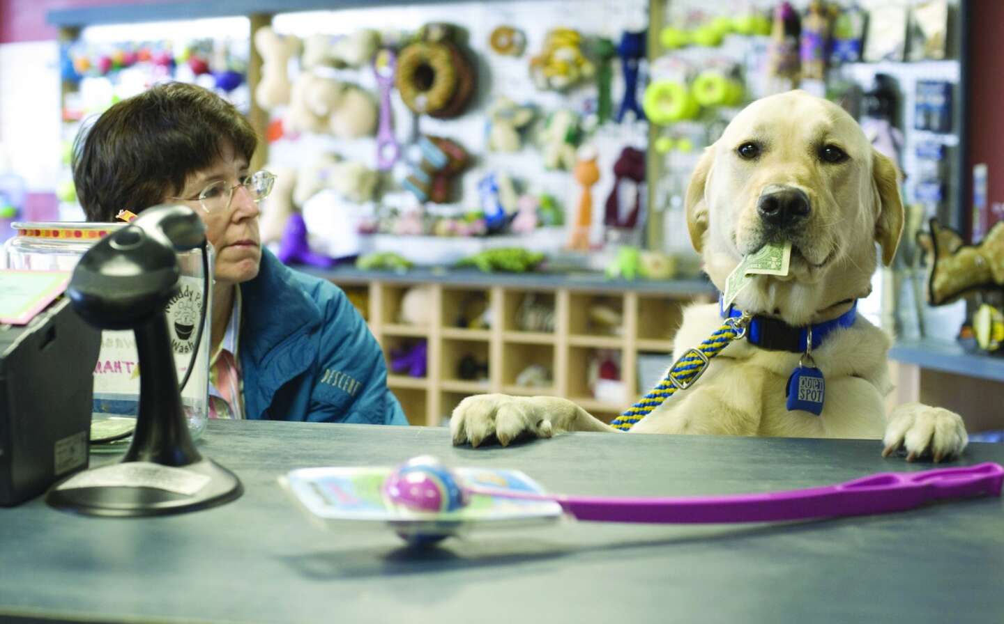 'Humiliating' Houston incidents highlight problem of easily faked ...