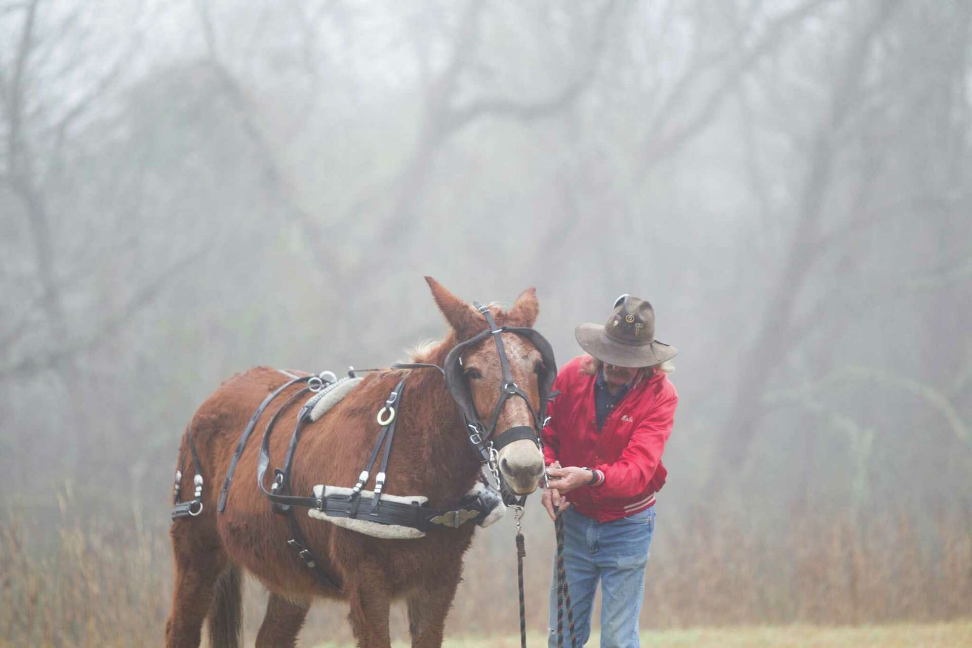 Beaumont-area rider dies on trail to RodeoHouston
