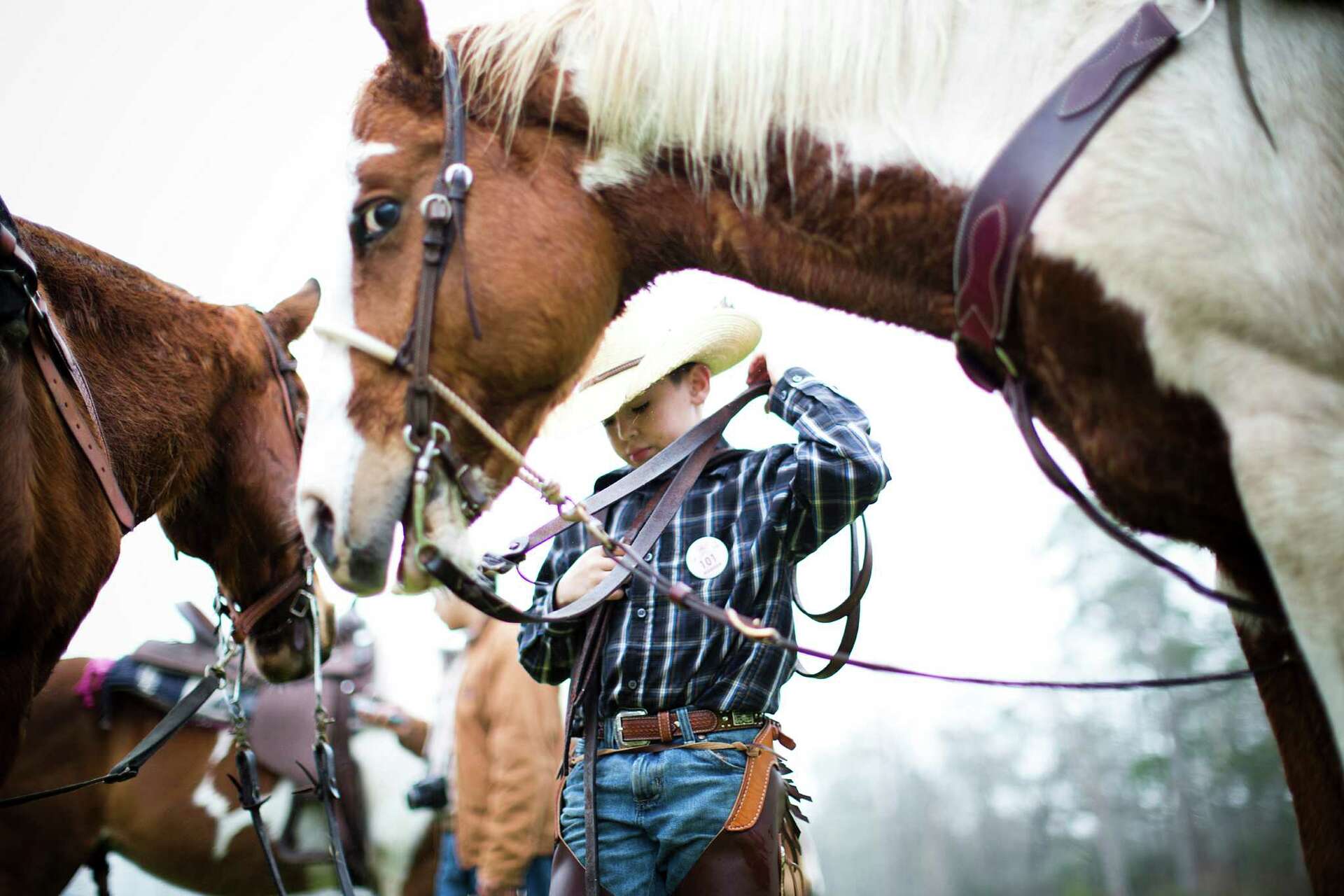 Beaumont-area rider dies on trail to RodeoHouston