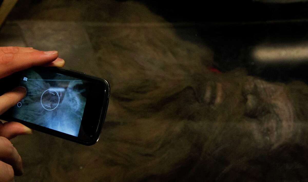 Sasquatch hunters near Houston say they were attacked by bigfoot