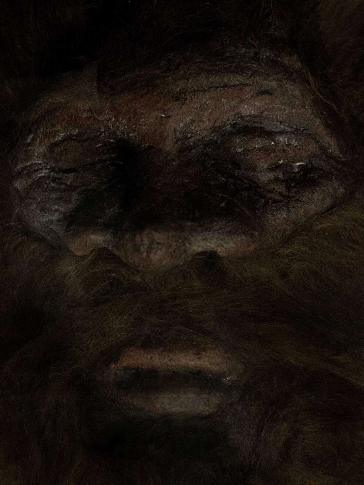 Sasquatch hunters near Houston say they were attacked by bigfoot