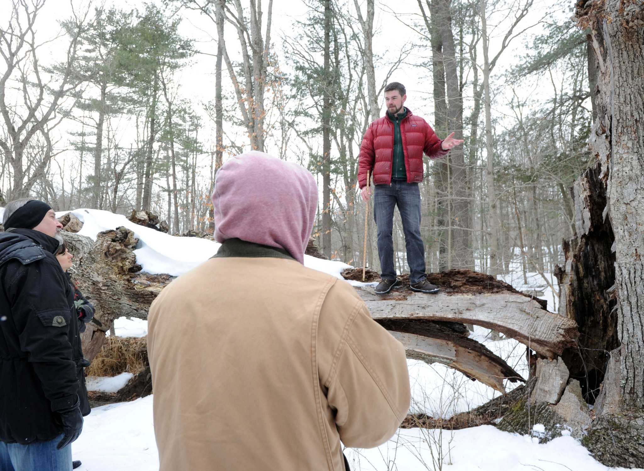 Cold snap stymies maple sap in state