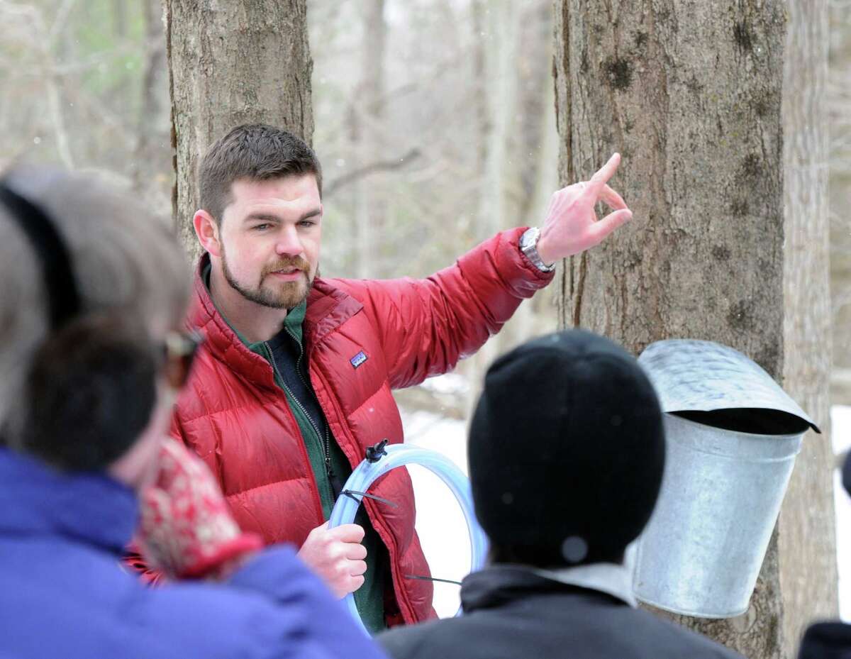 Cold snap stymies maple sap in state