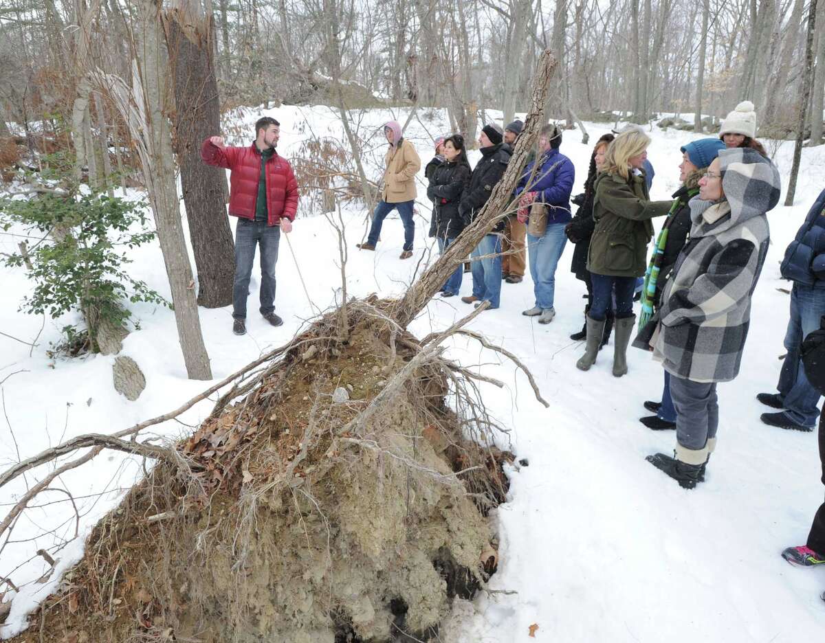 Cold snap stymies maple sap in state