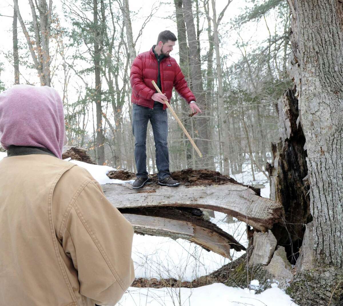 Cold snap stymies maple sap in state