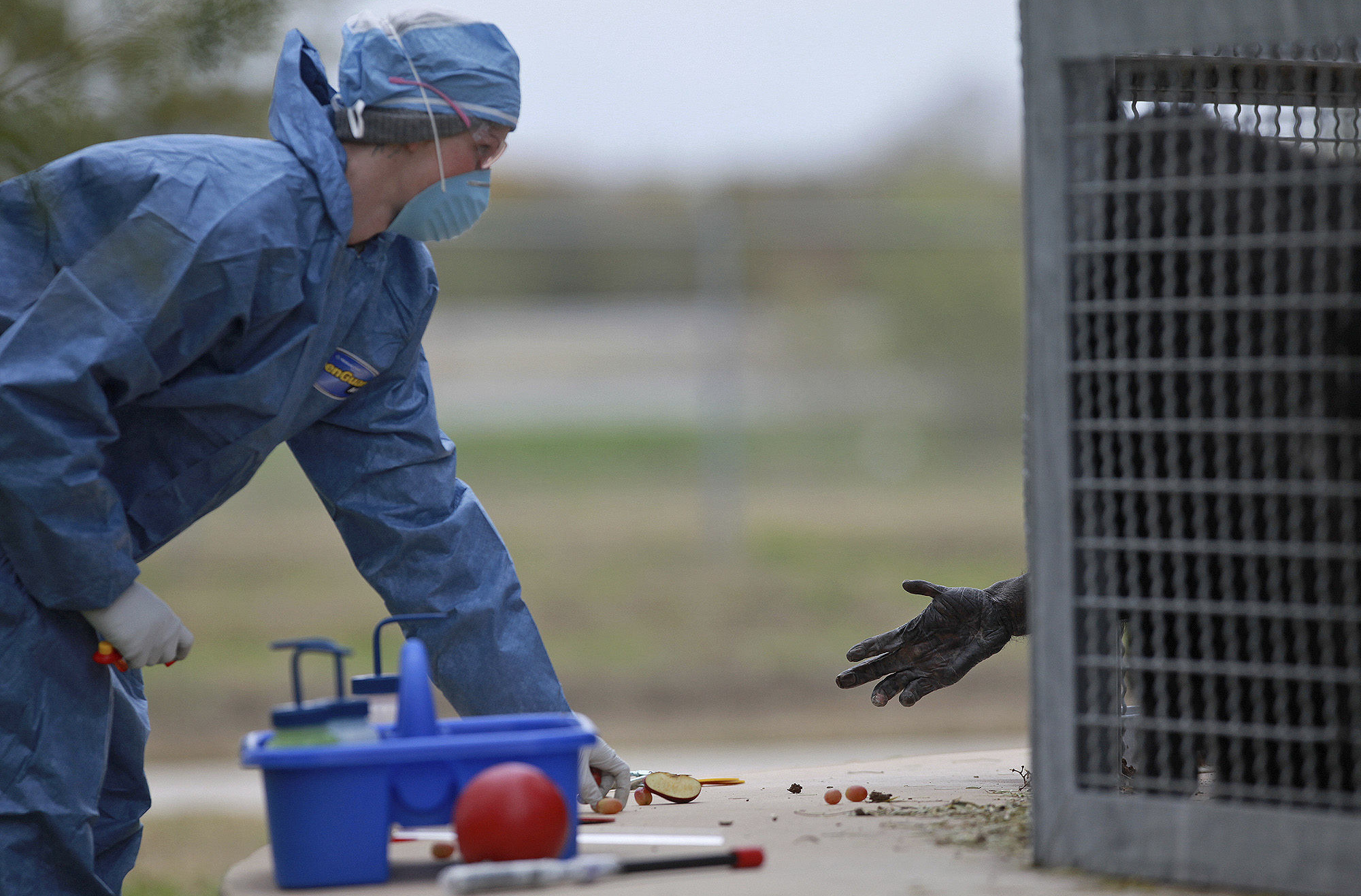 Animal rights group criticizes Texas Biomed after primate deaths