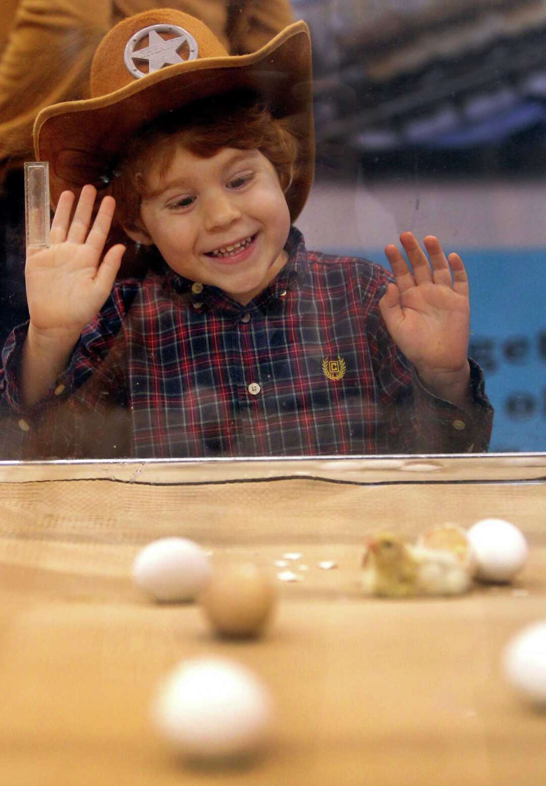 Rodeo: Don't miss these attractions