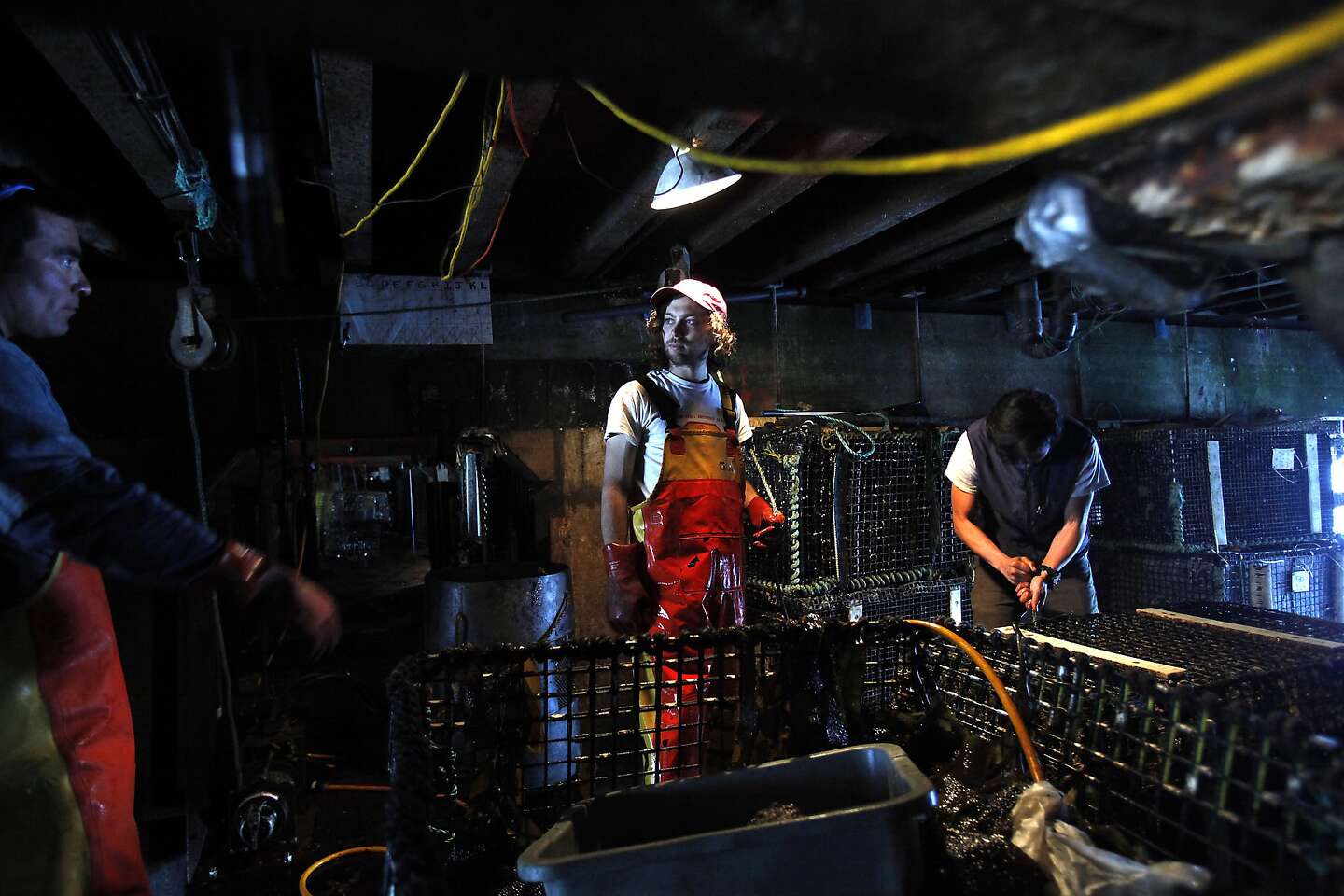 Tasty abalone carefully farmed under Monterey's wharf