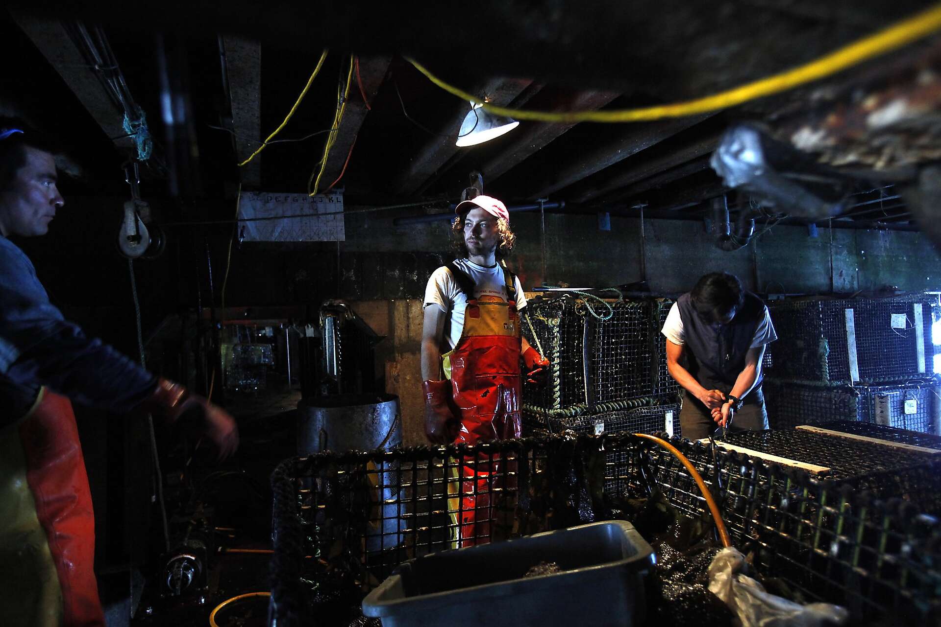 Tasty abalone carefully farmed under Monterey's wharf