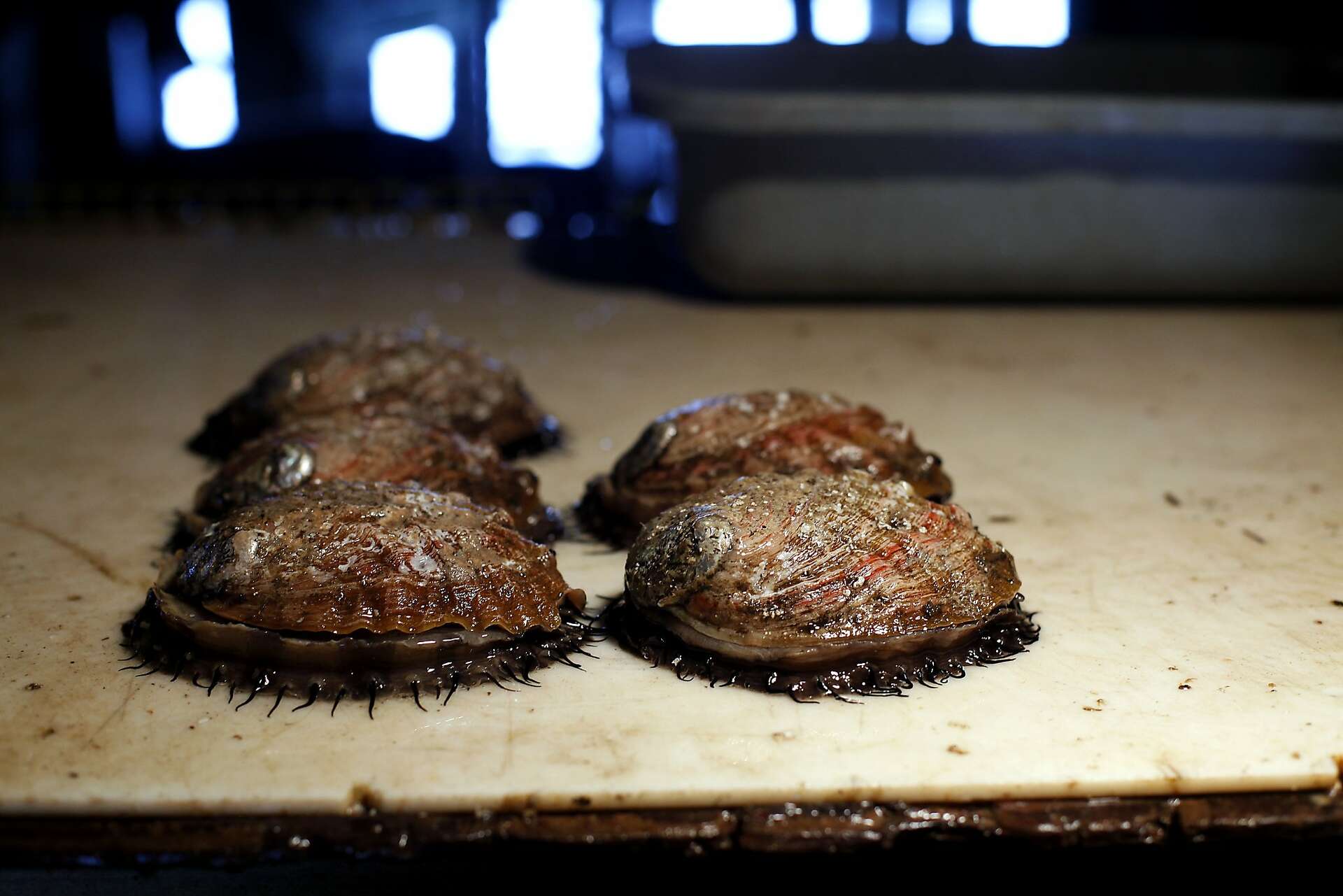 Tasty abalone carefully farmed under Monterey's wharf