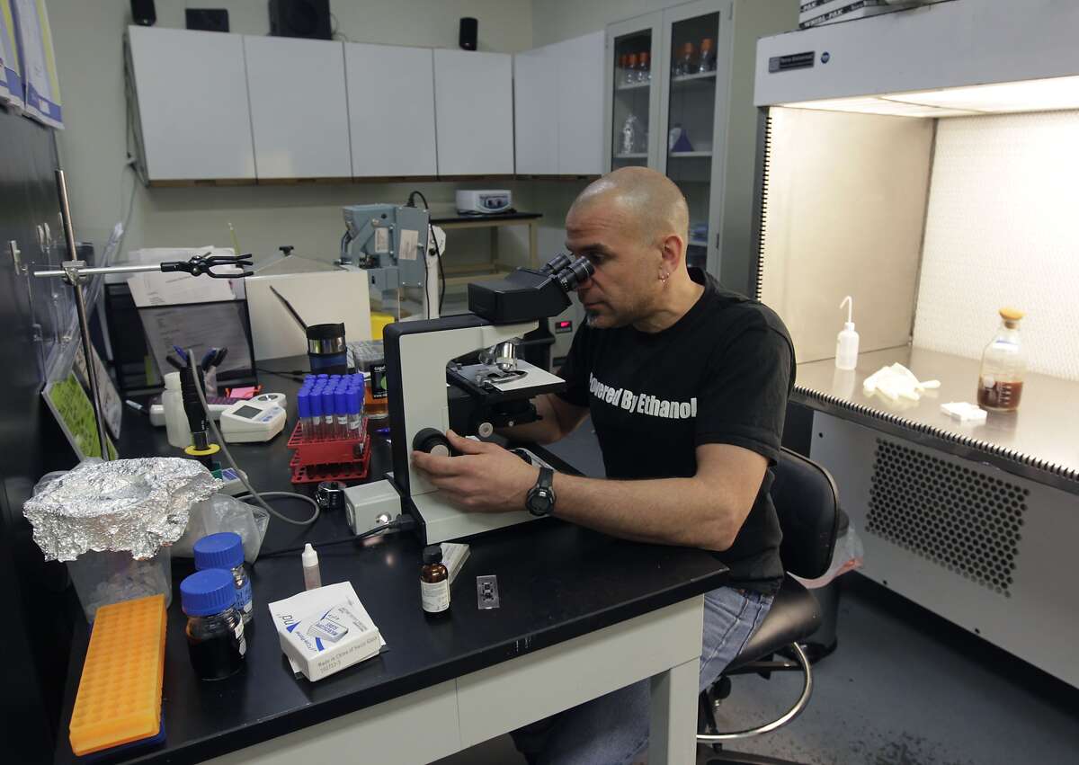 Yeast lab hunts for Bay Area brewing flavor