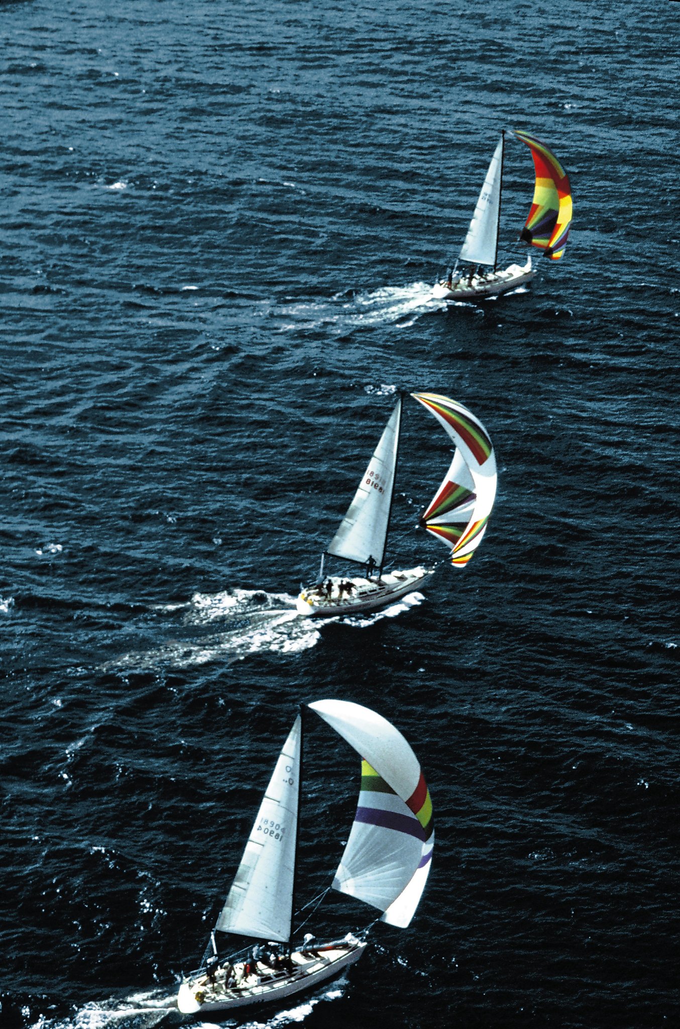 Wednesday night sailboat races in Santa Cruz