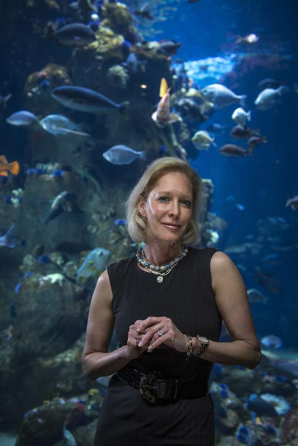 Wendy Schmidt directs will, wealth to preserving environment - SFGate