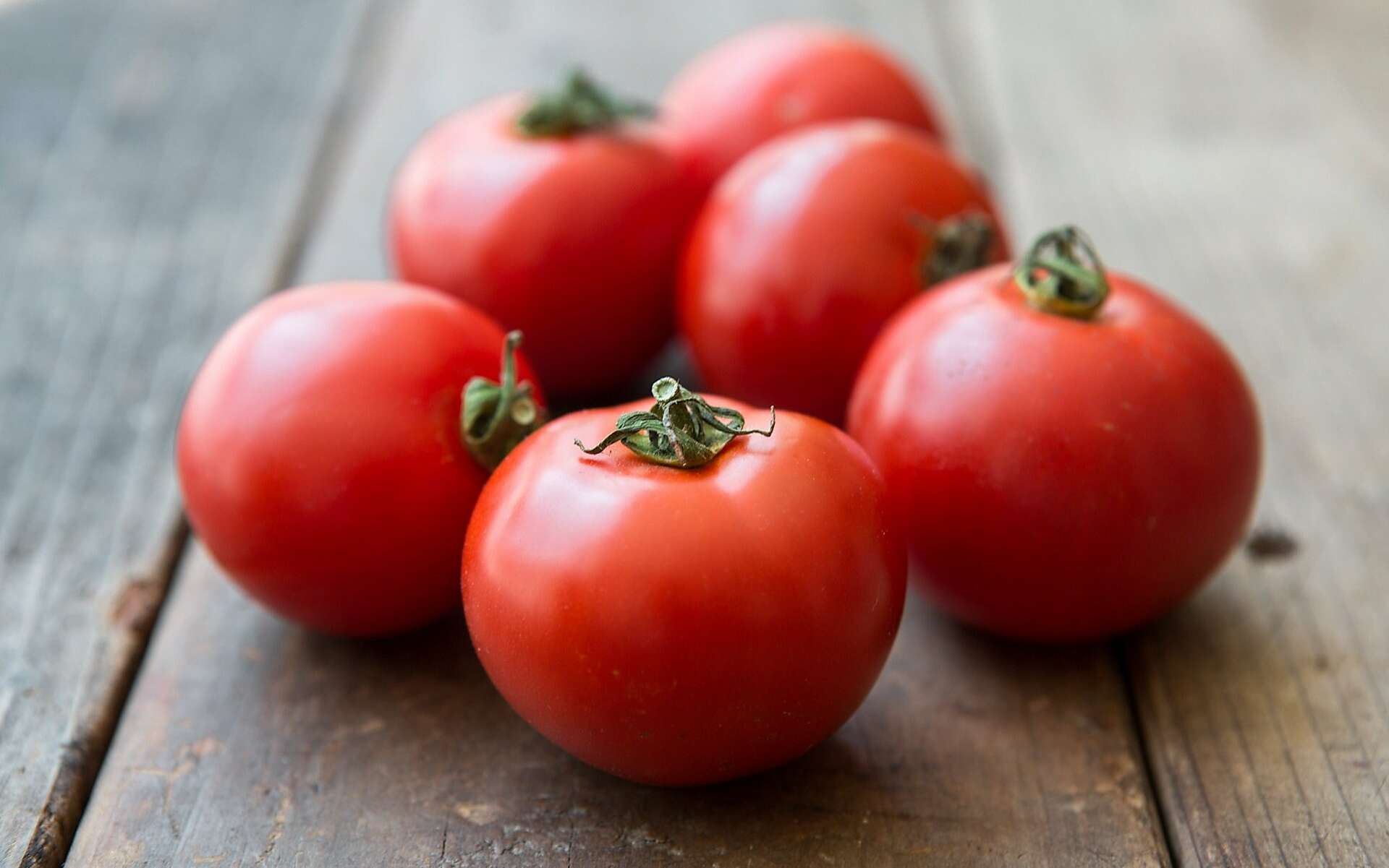 New 'Girl' is a Monsanto-free tomato