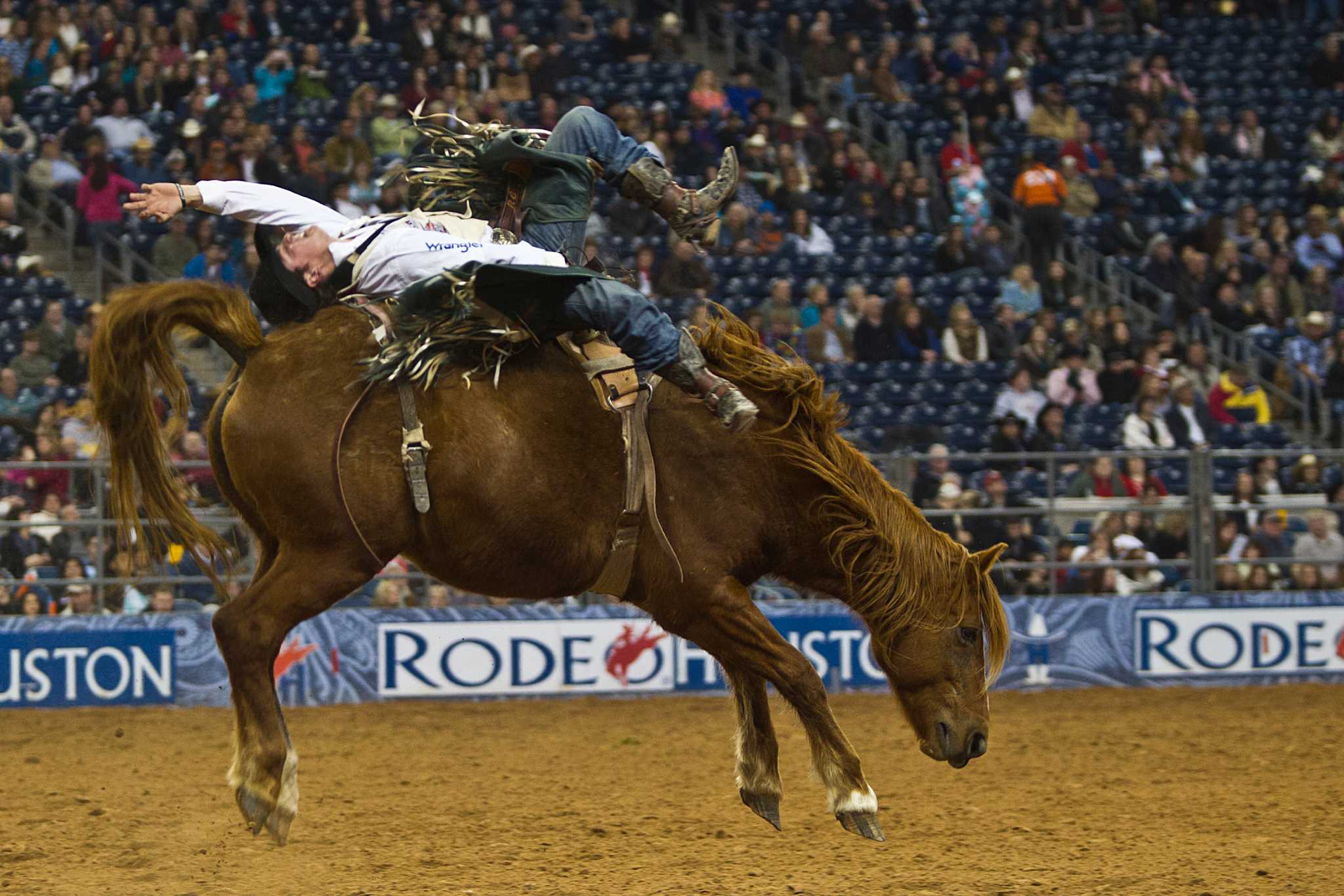 Woodlands' Champion rolling in bareback bucks