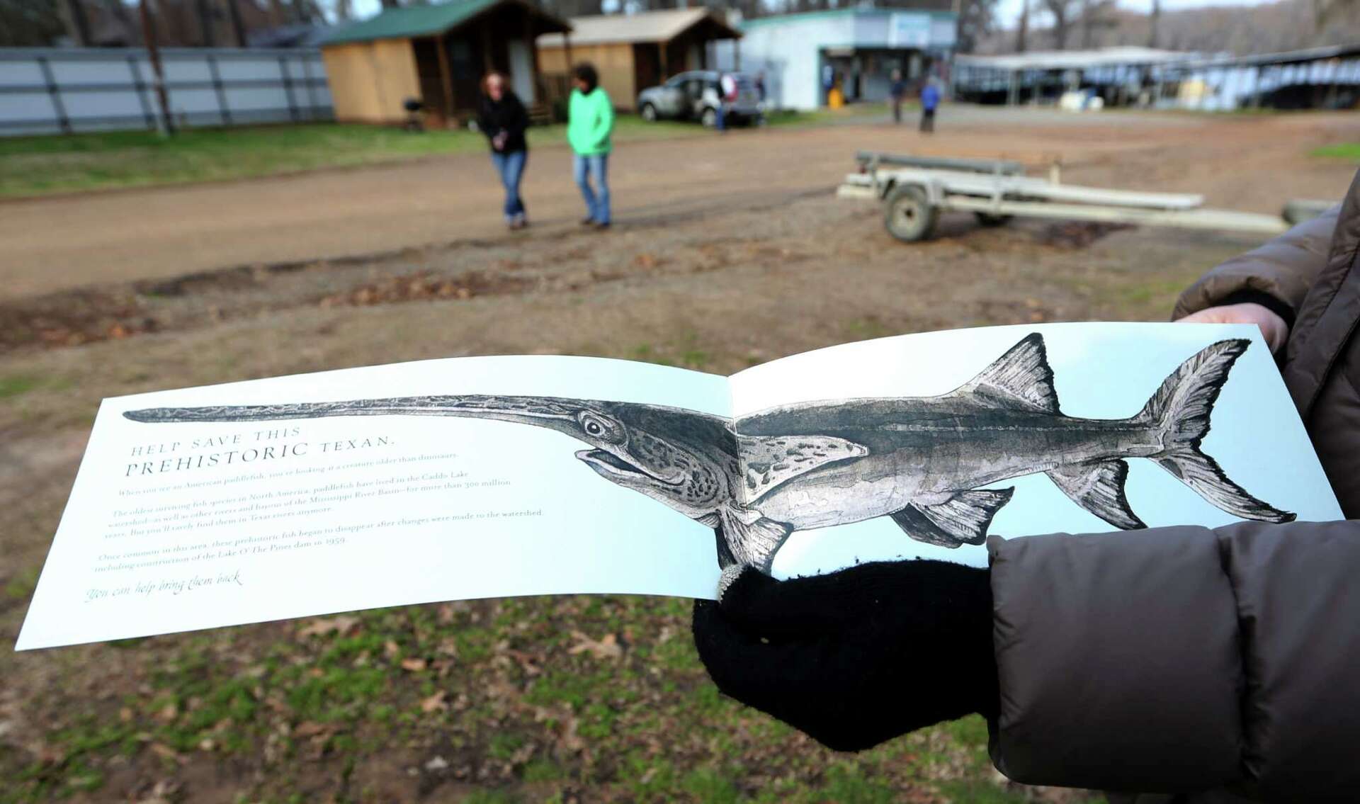Texas lake welcomes back prehistoric fish nearly extinct