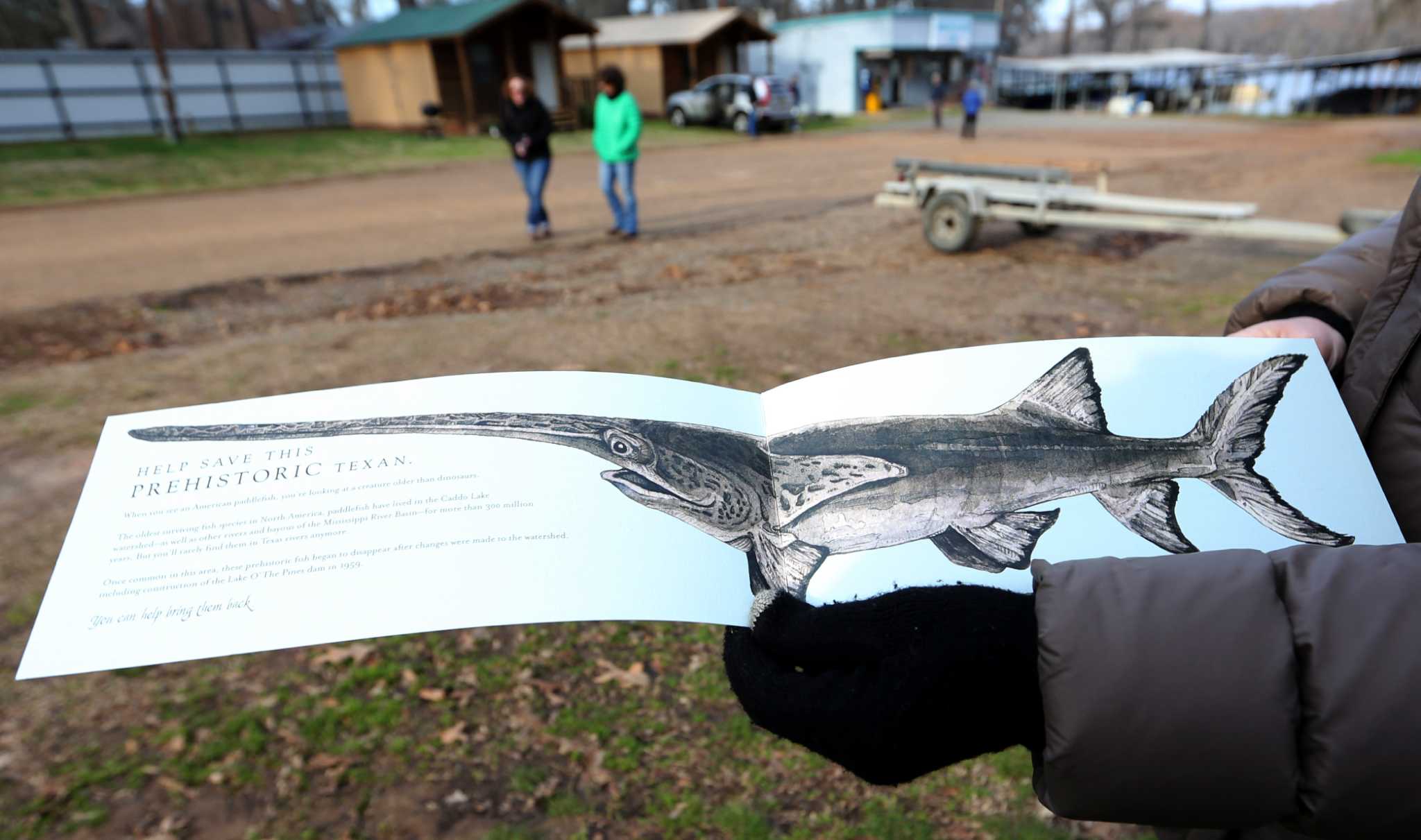 Texas lake welcomes back prehistoric fish nearly extinct
