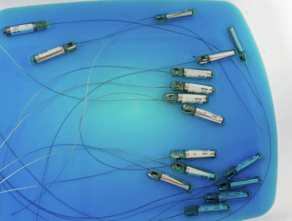 Texas lake welcomes back prehistoric fish nearly extinct