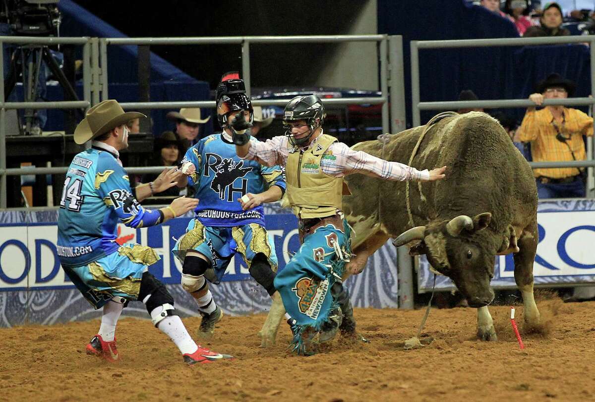 What to holler if you see a loose bull at RodeoHouston